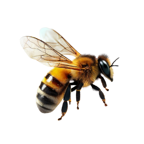 Contact - Homestead Honey Farm