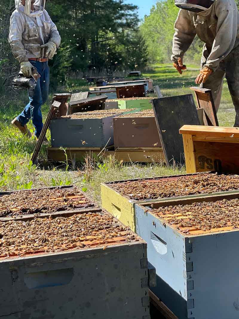 Honey - Homestead Honey Farm
