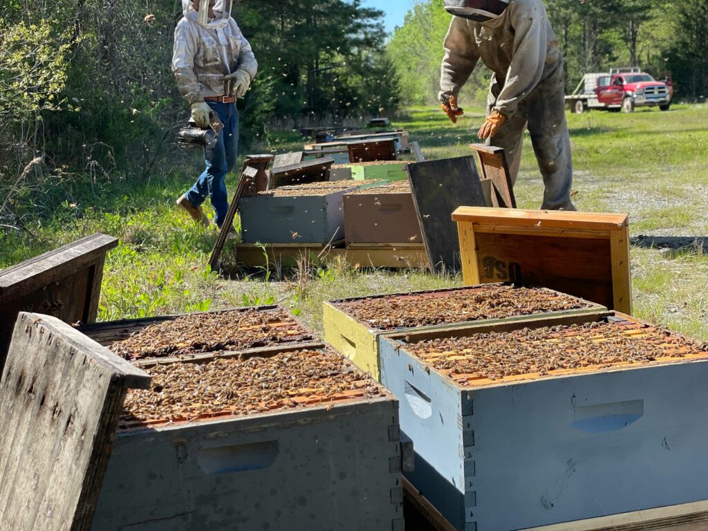 Us - Homestead Honey Farm